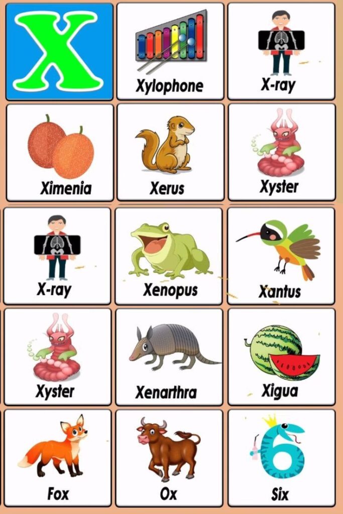 Descubre las Palabras con la Letra X | CEI